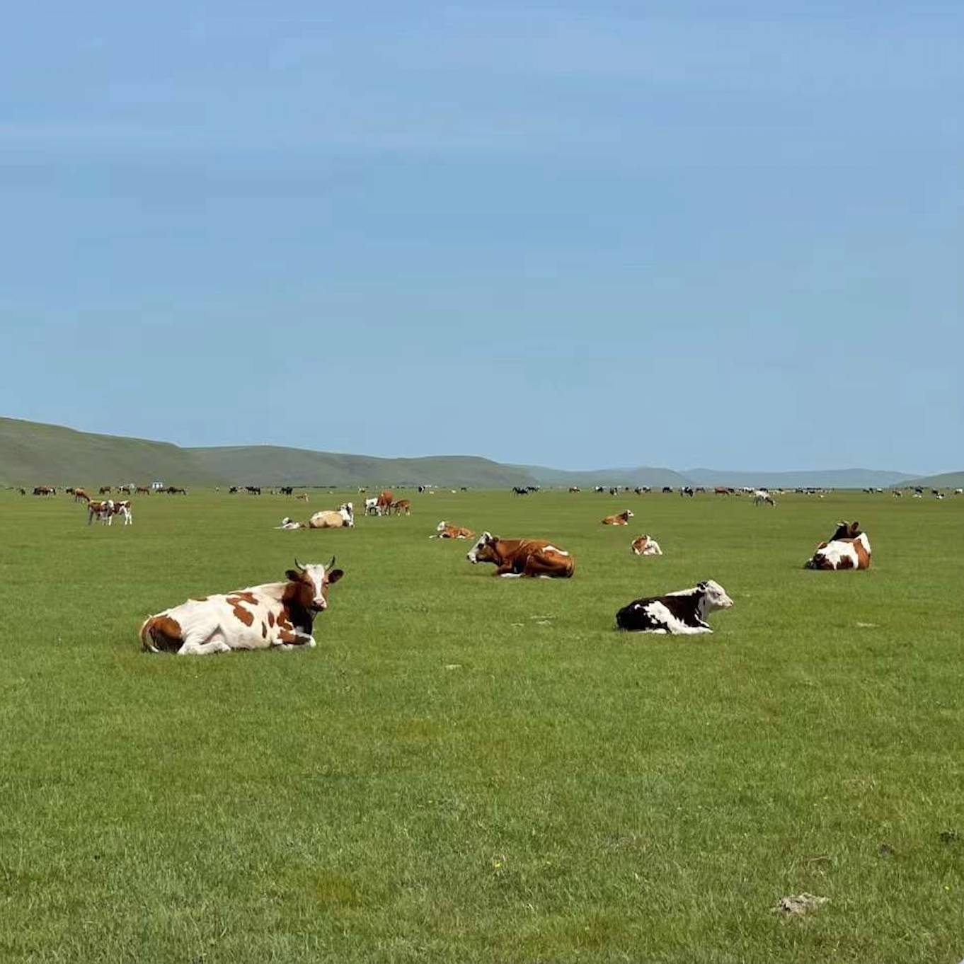 i18nHelperForever - Visual Studio Marketplace